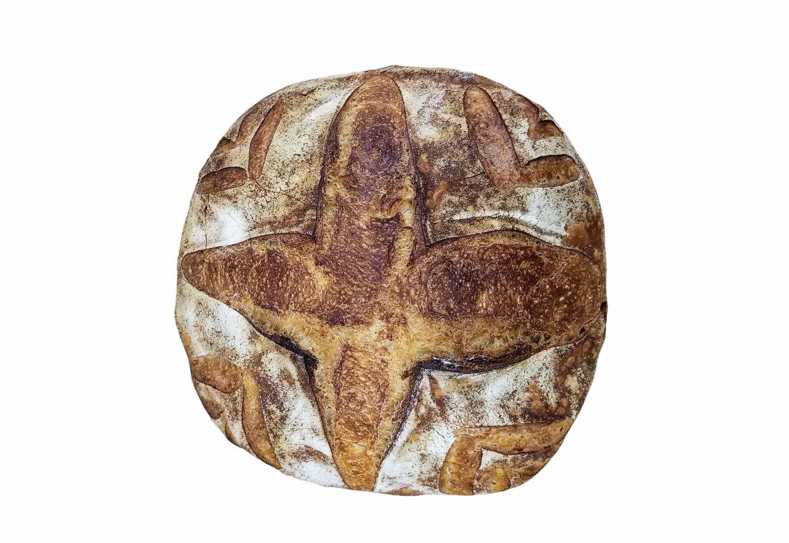 BREADBAR - Online Bakery Store